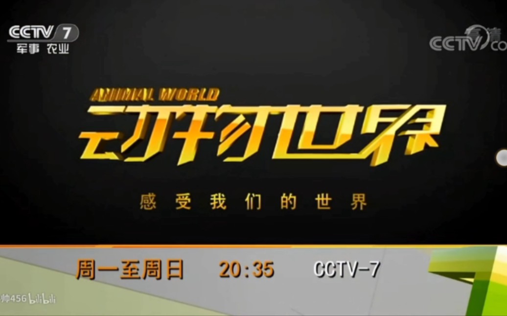 中央电视台《动物世界》节目宣传(CCTV7播出版)