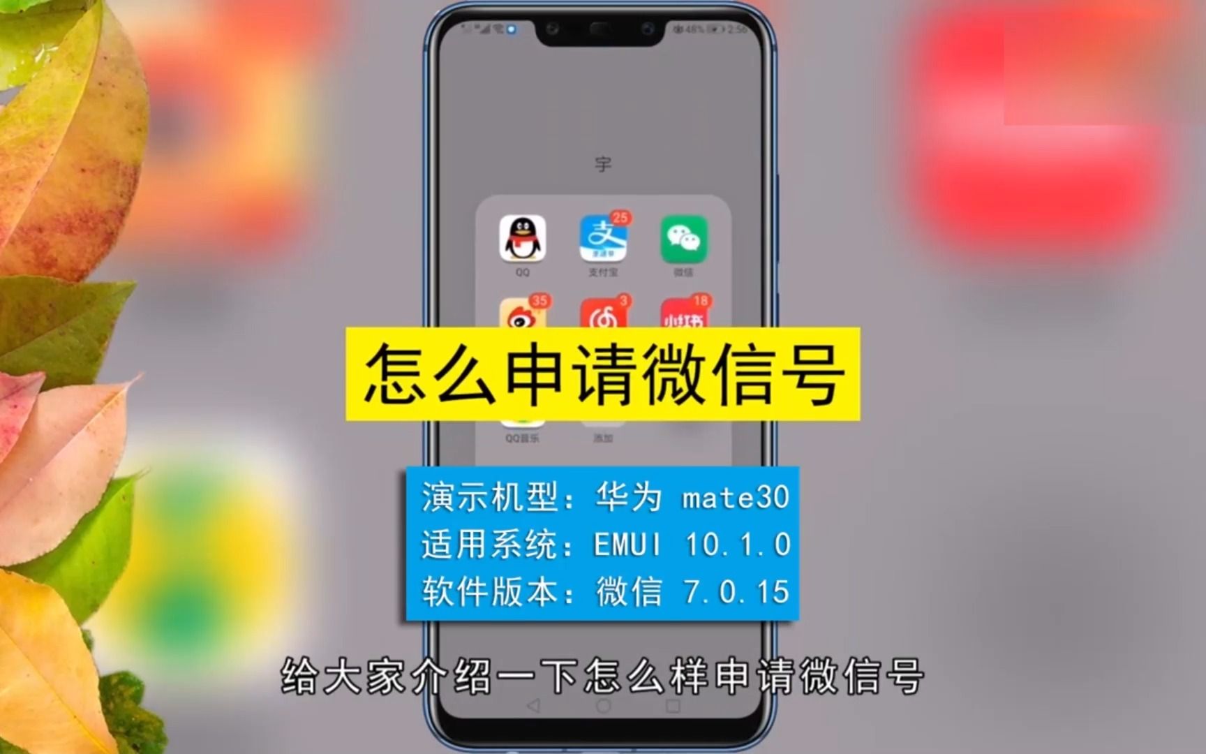 微信号怎么申请?微信号申请