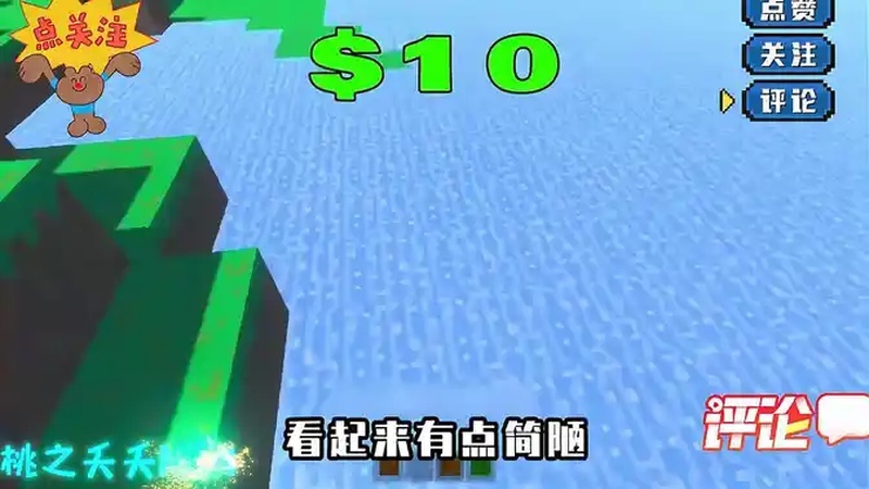 我的世界:不同价格的MC对比?10刀MC里的水,像羊毛地毯