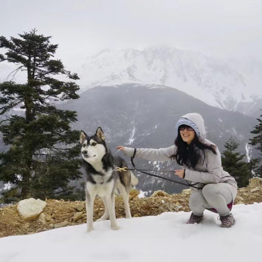 杭州考附中杨杨老师 