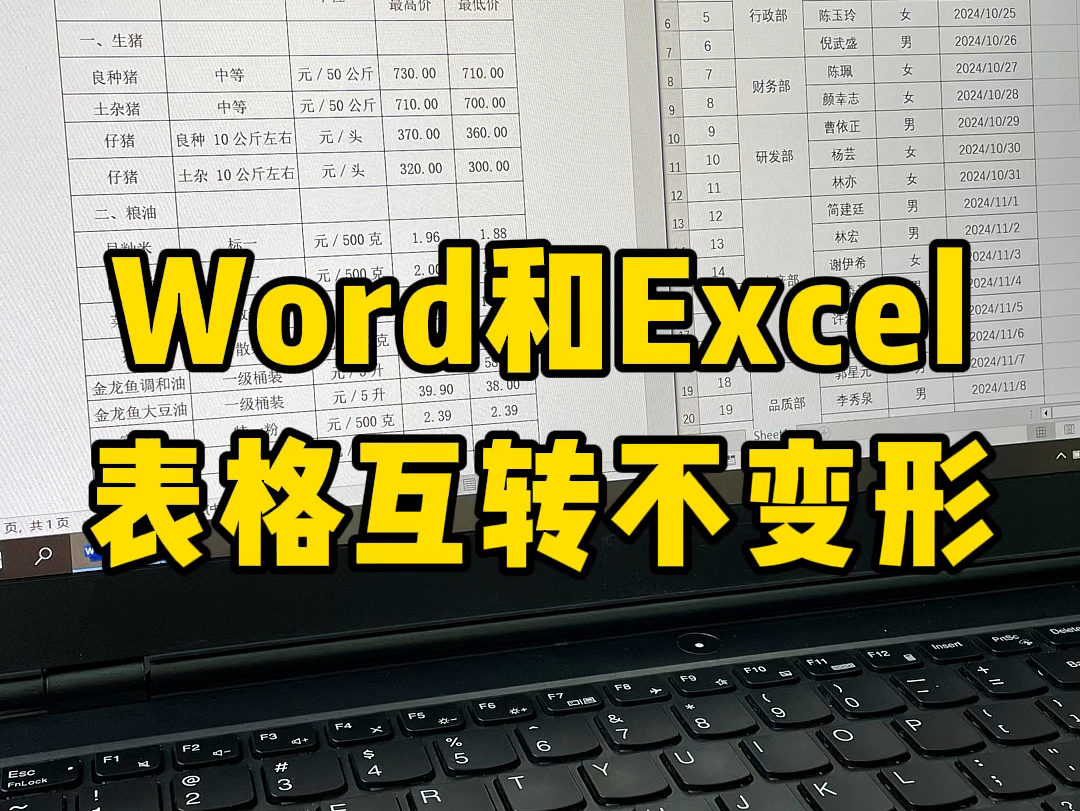 Excel表格和word表格互转不变形