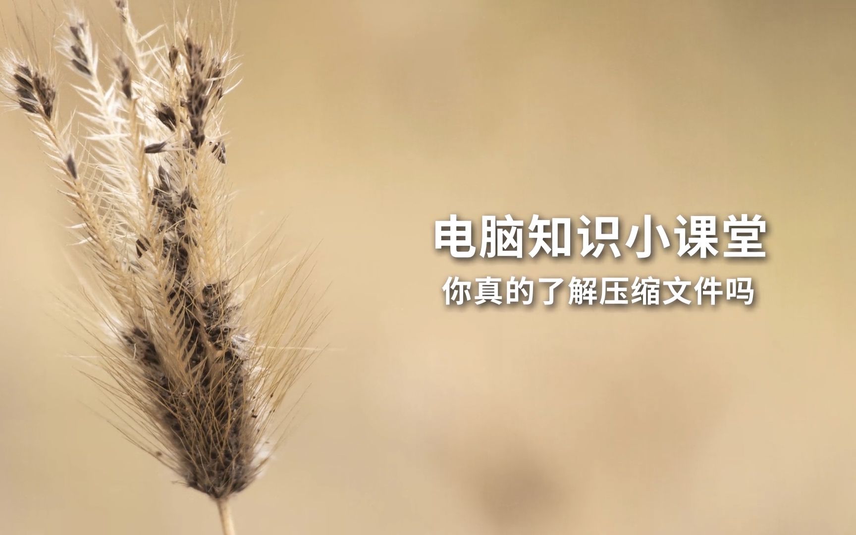 【小课堂】你真的了解压缩文件吗?