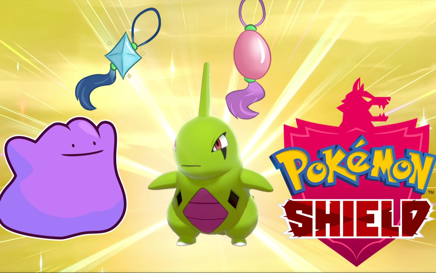 【Tuzi】宝可梦剑盾︱最详细满概率高效孵蛋闪「攻略10」