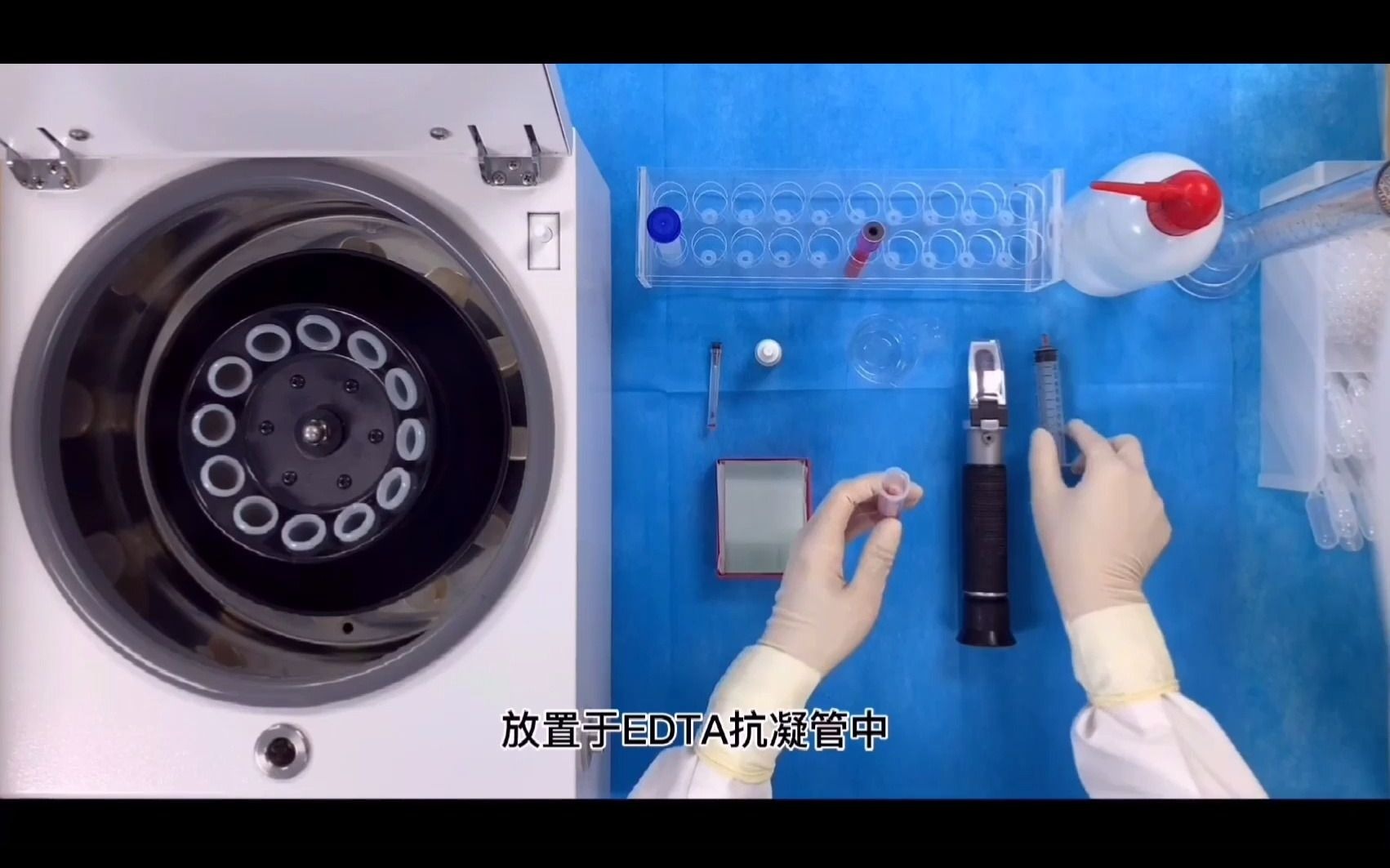动物体腔液检查操作演示