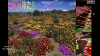 奇异的植物世界-微课