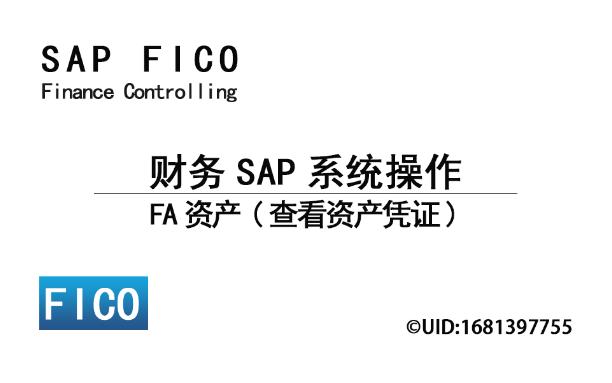 财务SAP系统操作之FA资产(查看资产凭证)