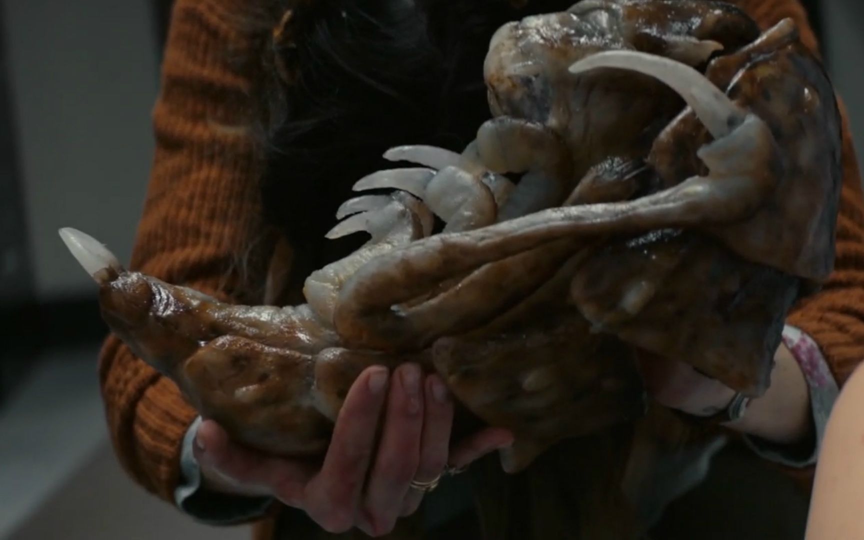 异形借助人类繁殖,三天就孵出一只幼虫虫后,一部怪兽科幻电影