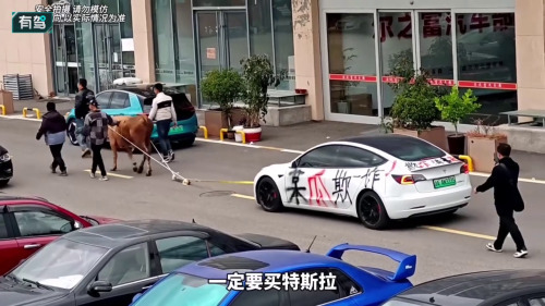 买二手电车的一定要注意了!一不小心就会让你损失惨重!