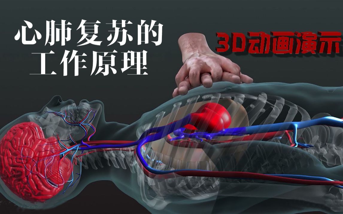 让急救知识变得更直观:3D动画演示心肺复苏原理及过程