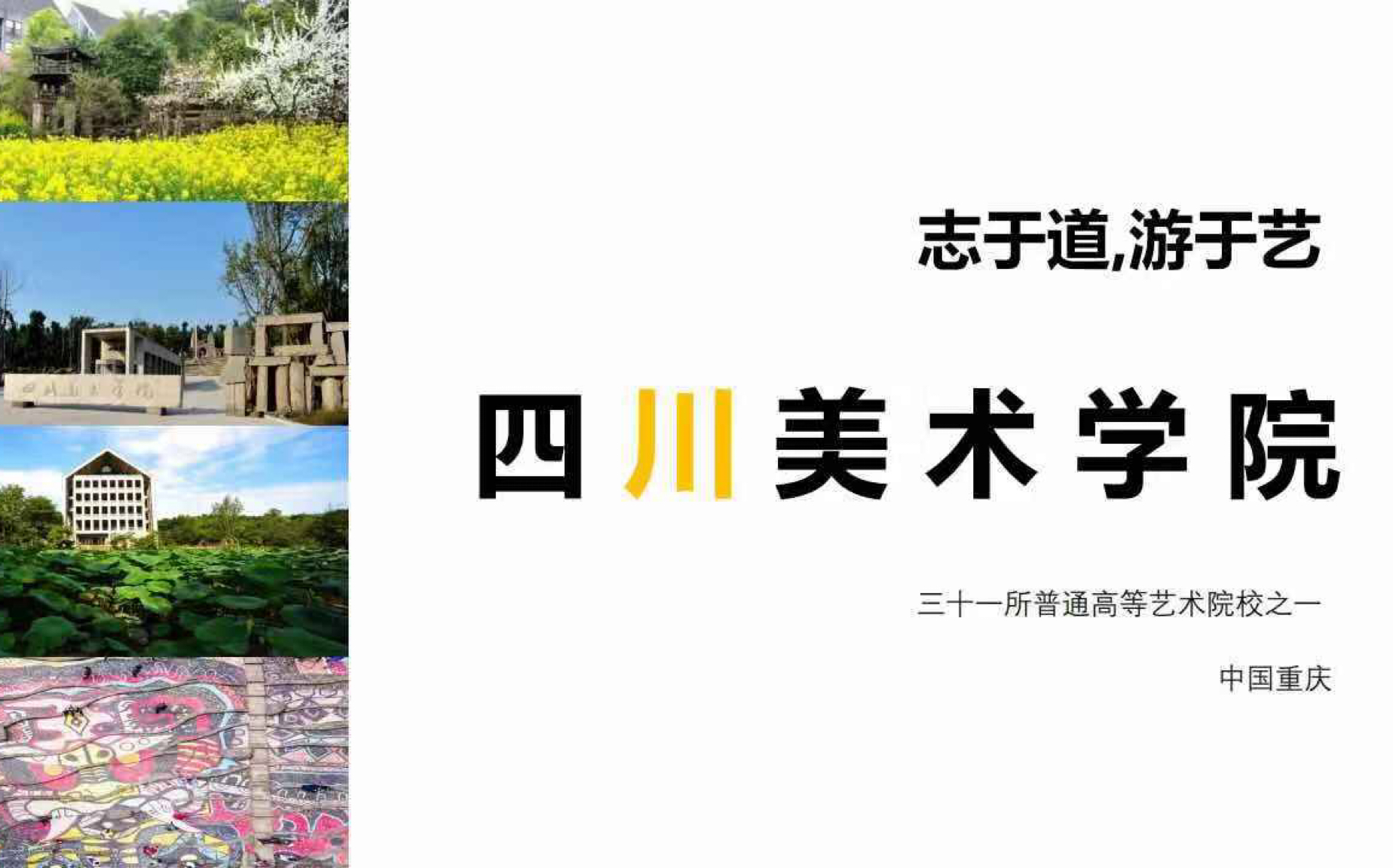 四川美术学院设计类考试专业及专业介绍