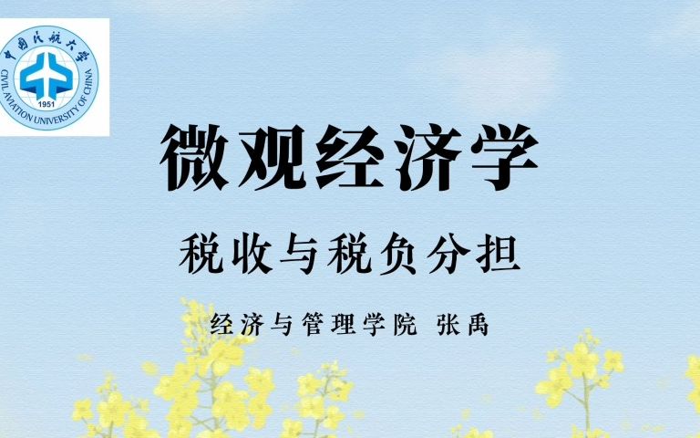 微课2-税收与税负分担