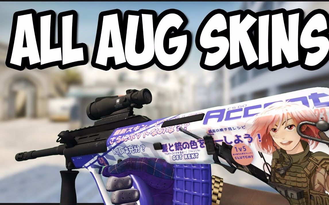 【CSGO全皮肤】AUG全皮肤预览