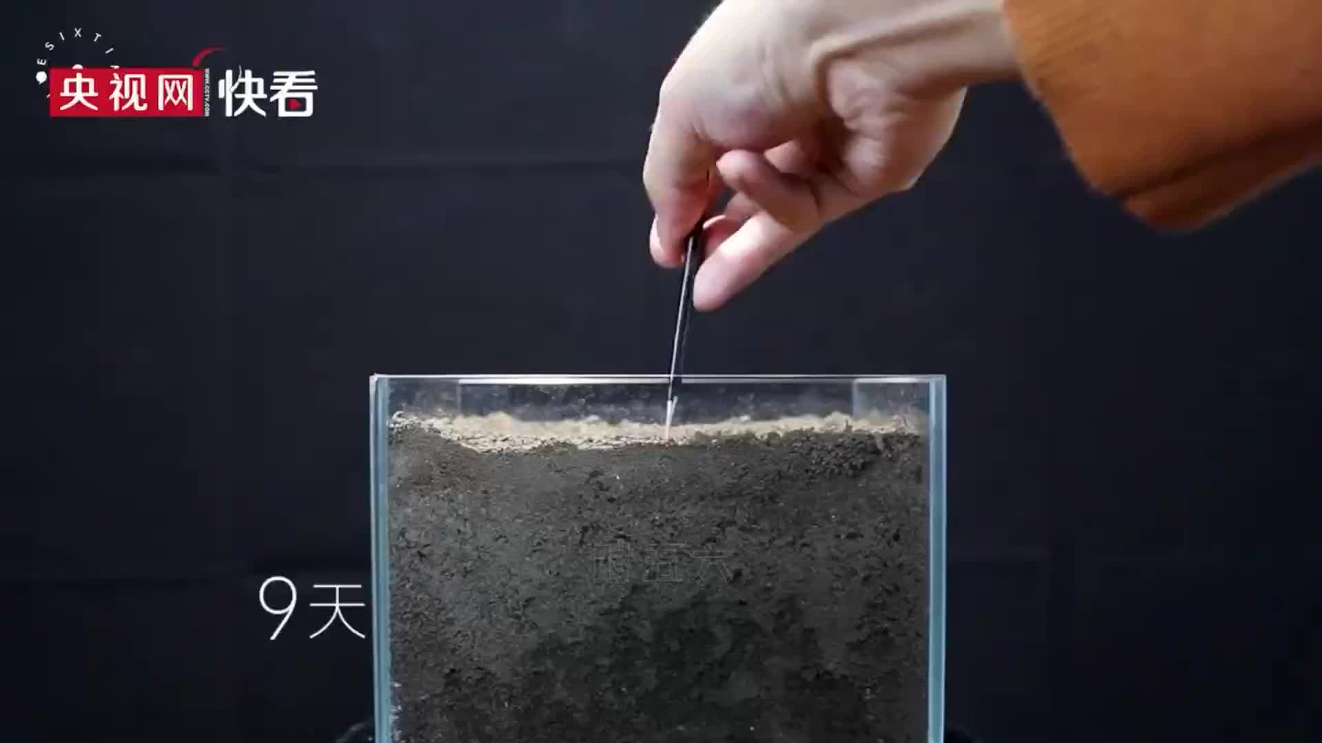 摄影师用636天记录9种植物的生长过程