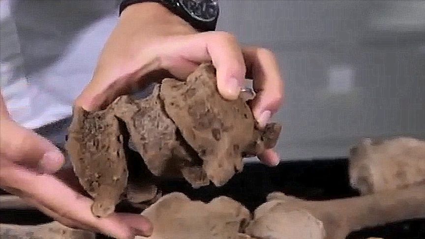 经典:用仪器检测汉代尸骨,发现身高只有161厘米,但已属正常