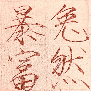 Sponge海绵子 