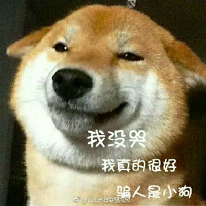 不色你报警 