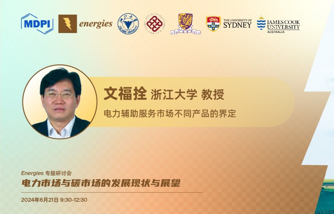 ...的发展现状与展望——文福拴教授:电力辅助服务市场不同产品的界定