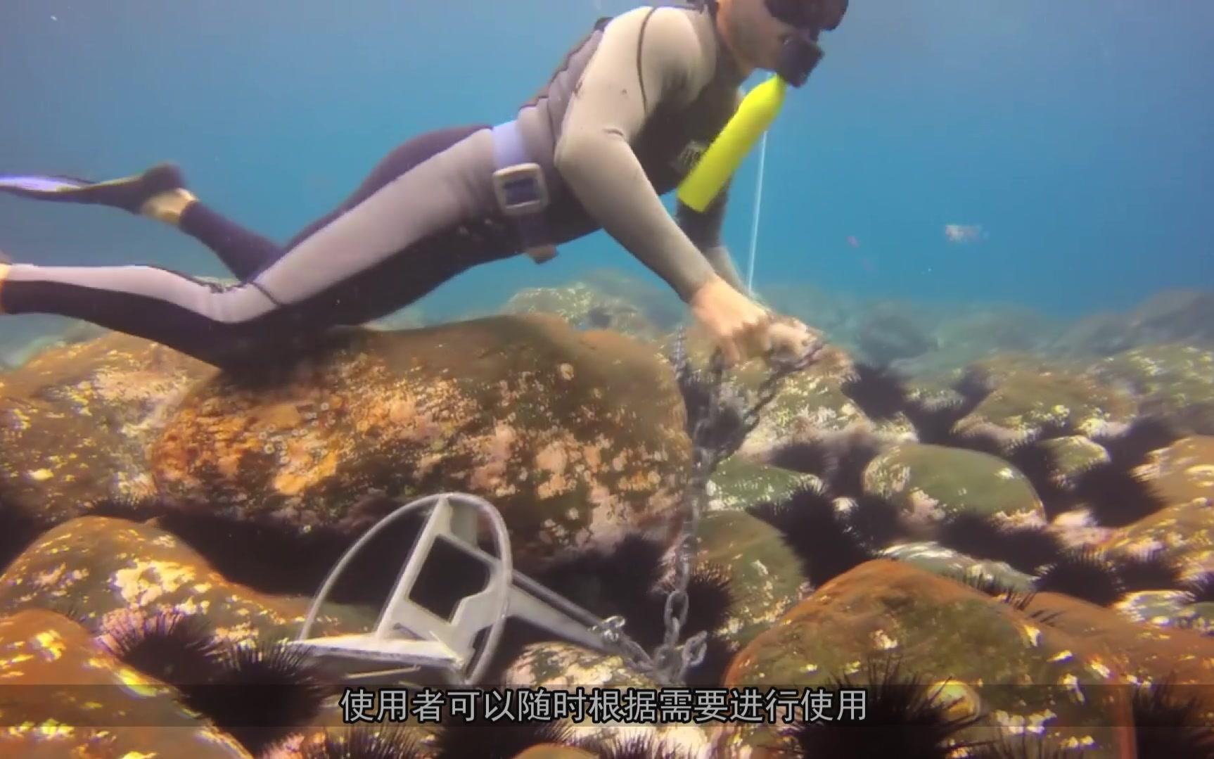 什么原理?带这“饮料瓶”可在水下呼吸10分钟,能用打气筒充氧