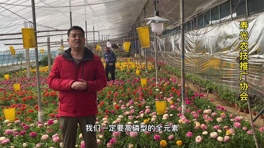 无土栽培种植花卉,正确施肥方法在这里