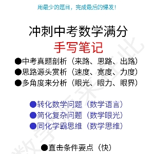 冲刺满分中考数学 