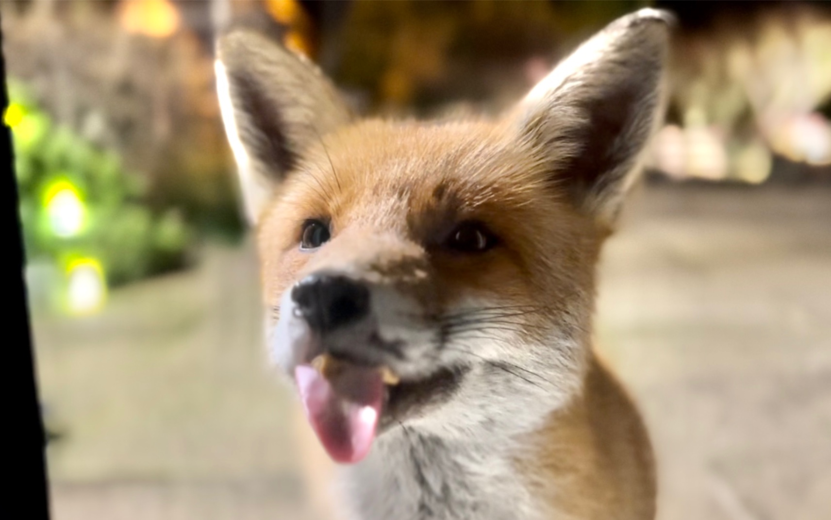 男明星亲自示范擦玻璃,因过度疲劳当场….昏睡过去