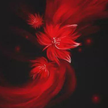 莲心蕊 