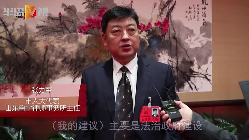 市人大代表张力军:建议完善行政执法案件监督前置