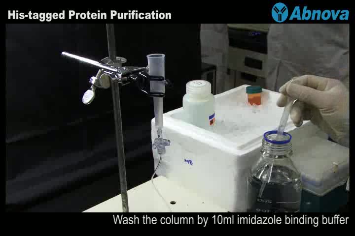 组氨酸标签蛋白质纯化技术