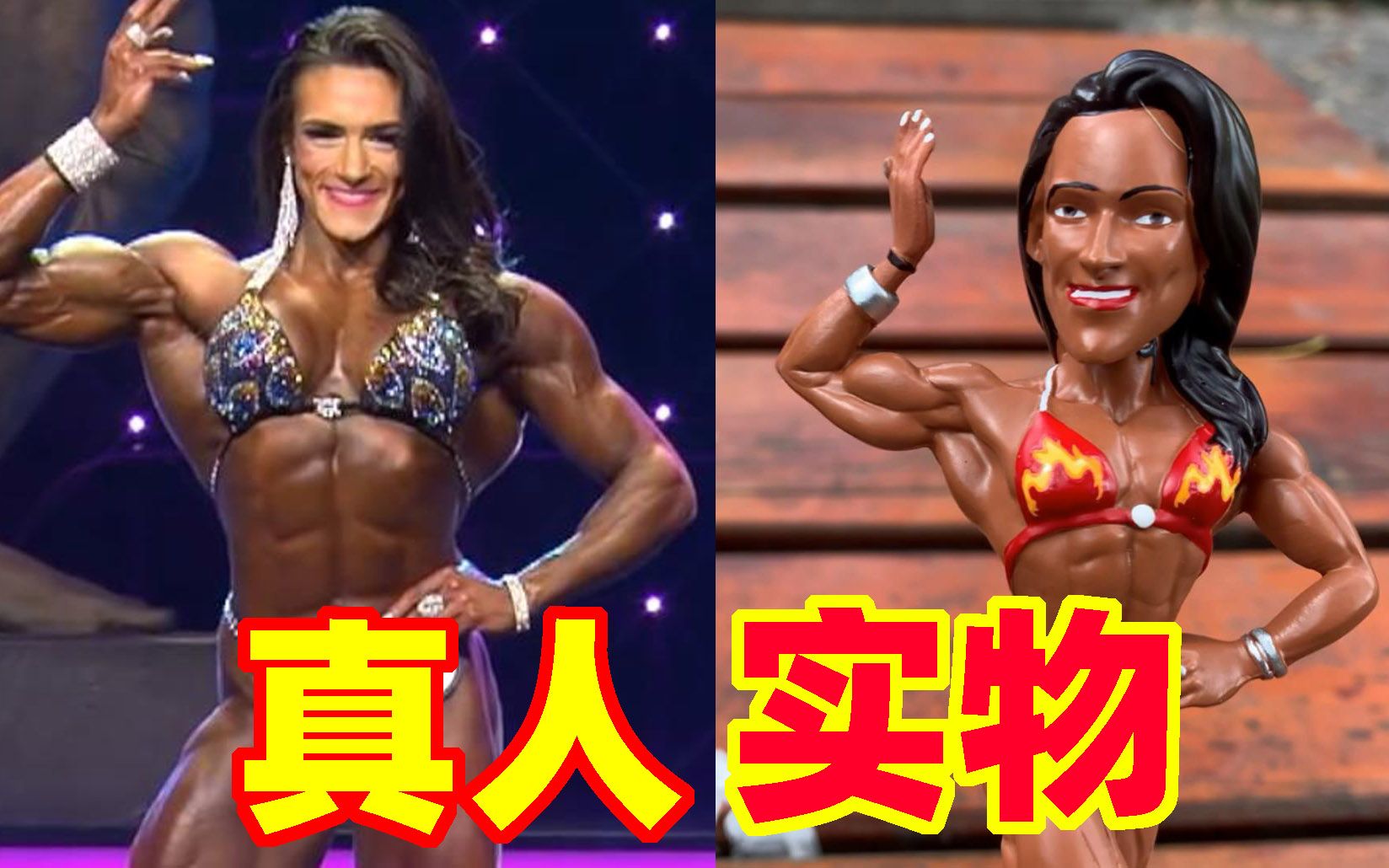 【开箱】全球唯一一款女性健美选手手办,刚发售公司就要倒了!