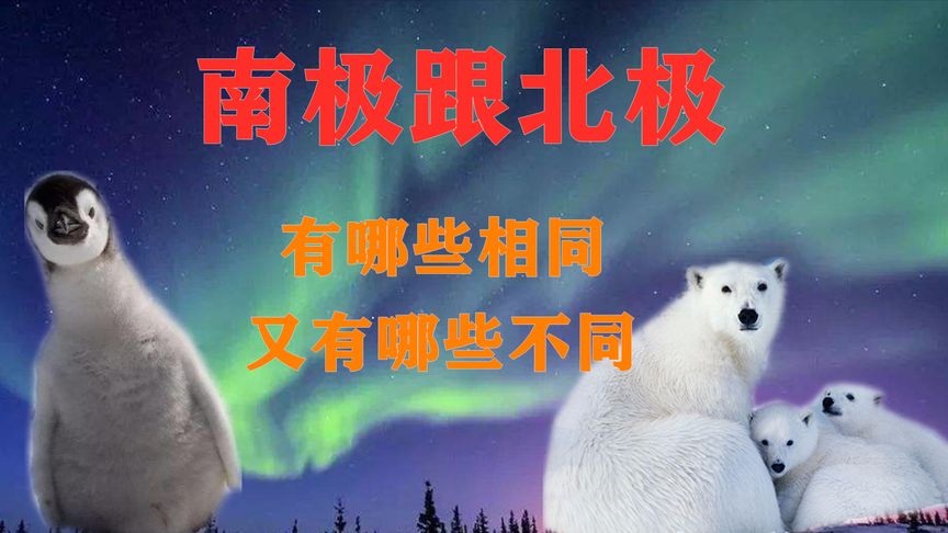 地球上两个奇妙的地方,南极跟北极有哪些相同点,又有哪些不同点