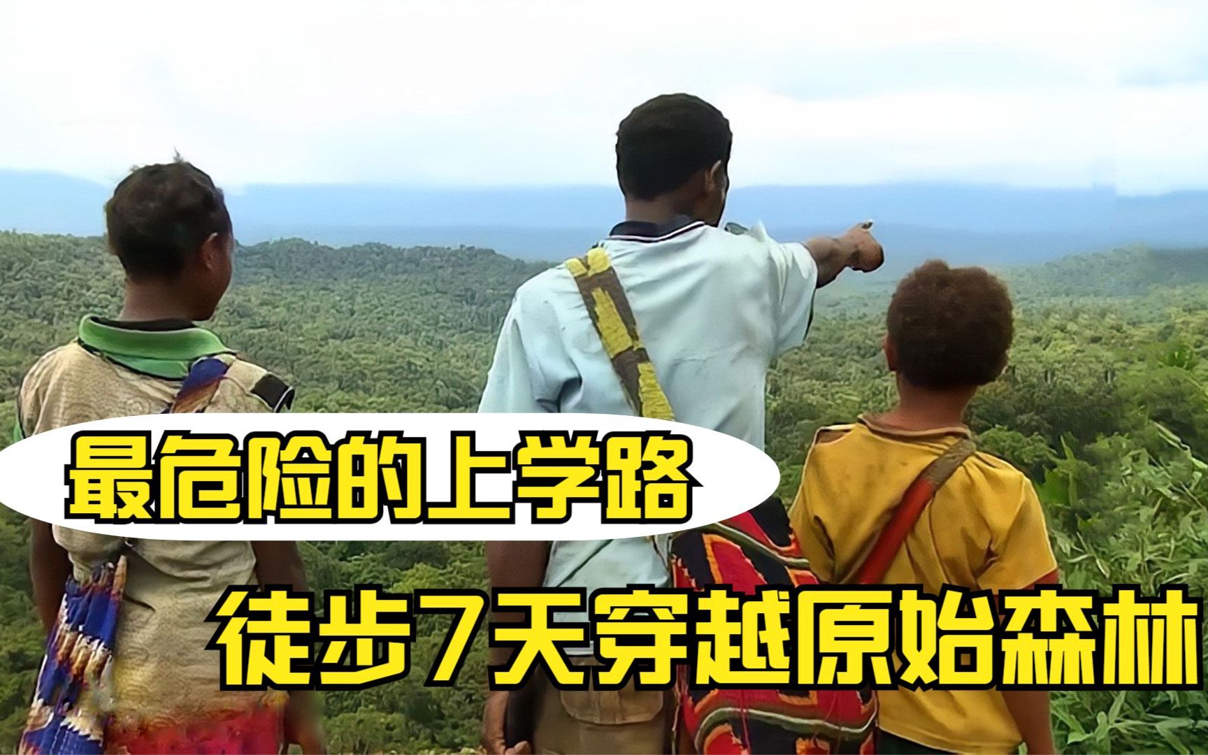 新几内亚部落姐弟危险上学路,徒步7天穿越原始森林,拿命博前途