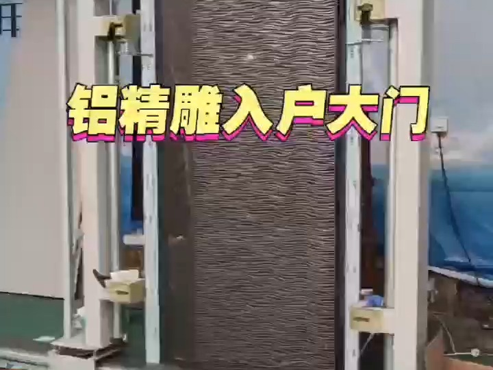 门元素|铝精雕入户大门