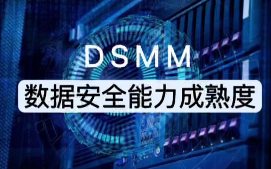 DSMM数据安全能力成熟度