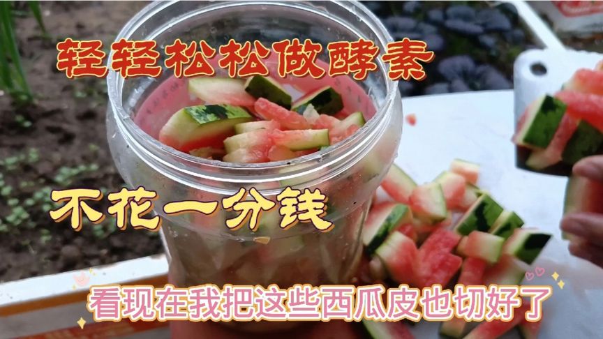 不花一分钱轻松做酵素,你扔掉的垃圾原来都是宝,各种果皮用起来