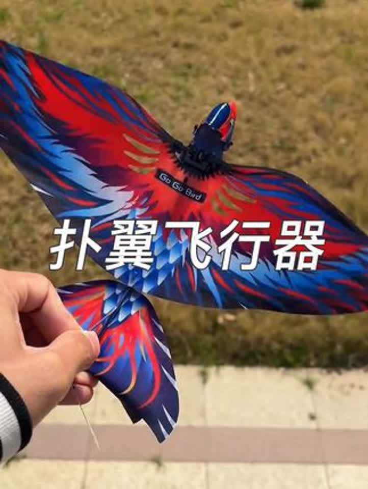 扑翼飞行器 操作简单孩子爱不释手,还能锻炼孩子视觉追踪!天气回暖了多陪孩子一起户外运动!#扑翼飞行器