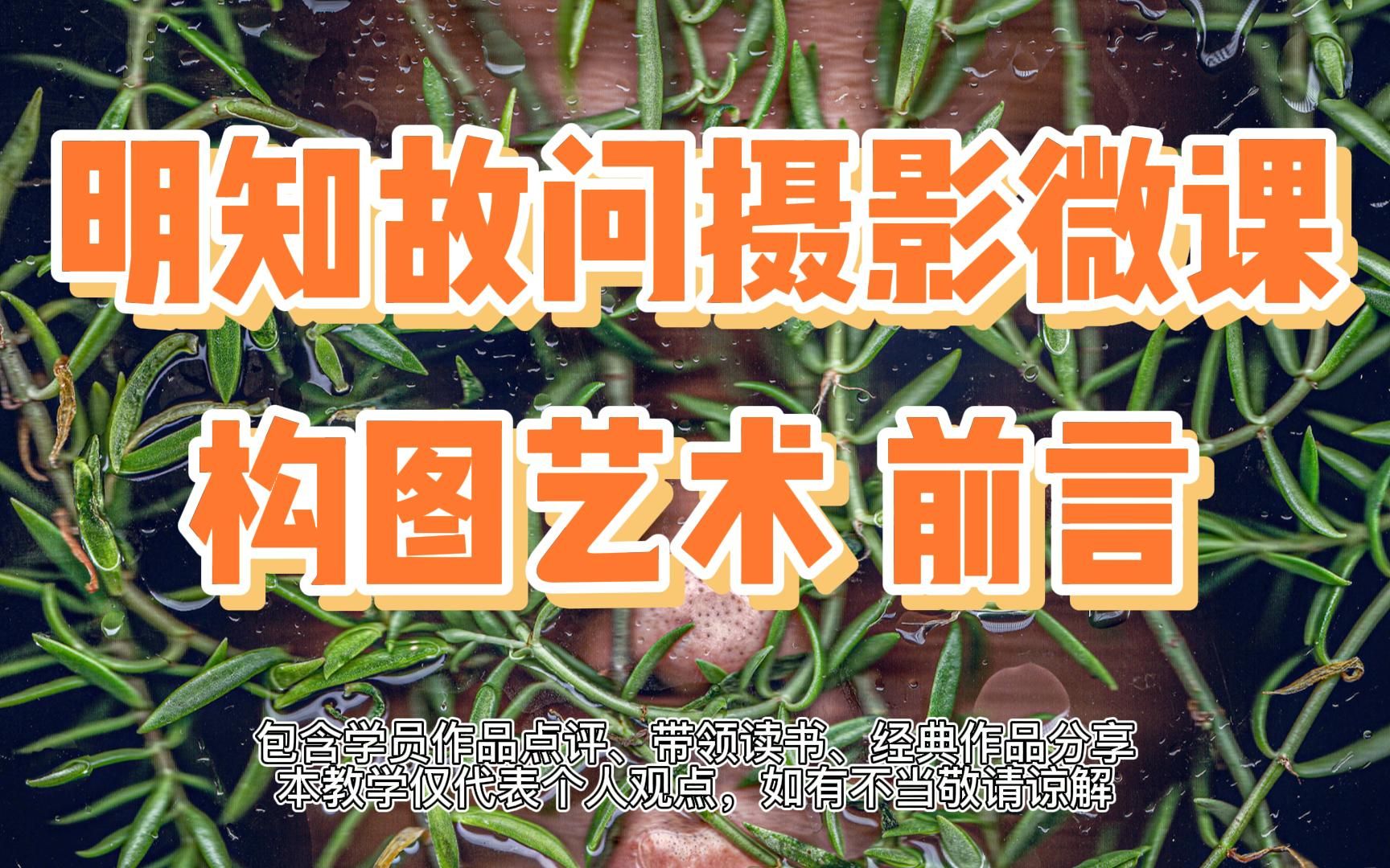 20220123明知故问摄影微课:构图艺术前言