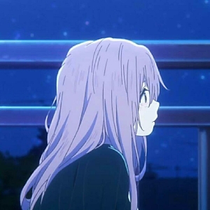 每天都想吃鸡公煲 