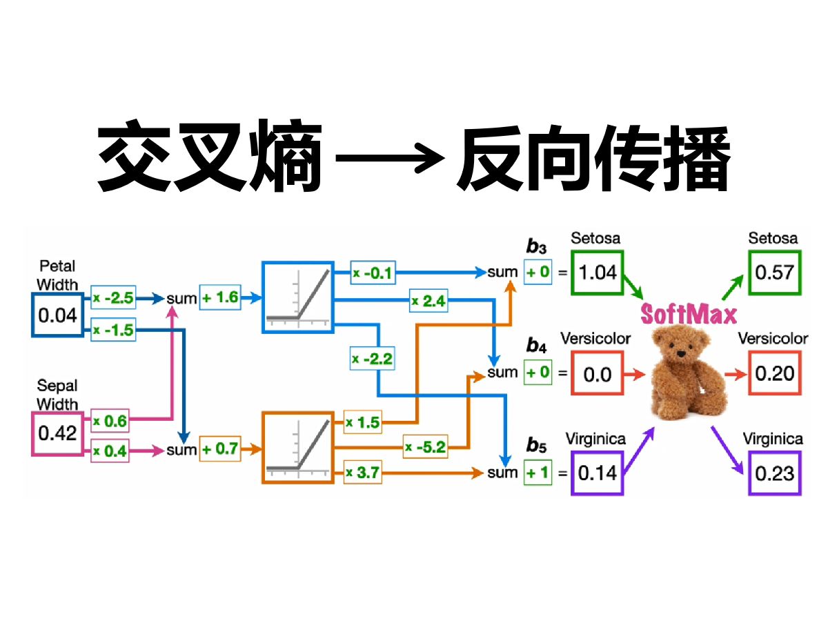 【官方双语】交叉熵损失函数怎么进行反向传播来优化神经网络参数?
