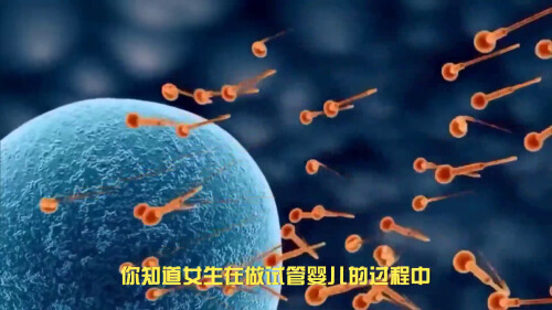 女生试管婴儿究竟多疼?3D动画模拟全过程,看完你别不敢信!