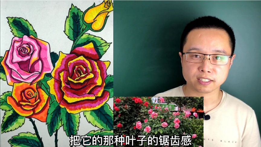 各种玫瑰花的简笔画