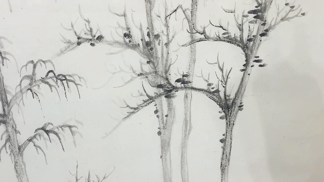 国画初学者5大误区❗️很实用国画初学者,很容易陷入以下几个误区,1...