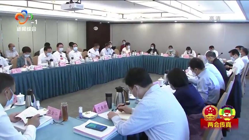 湖北代表团审议“两高”报告 应勇王晓东等作审议发言