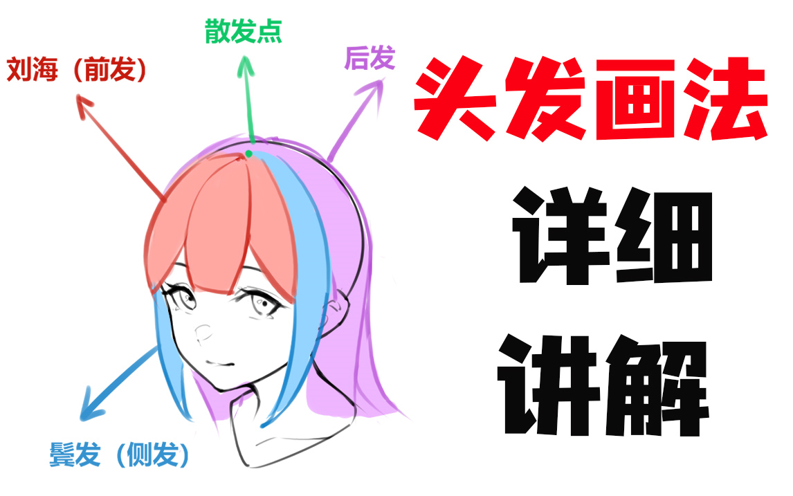 【头发教程】从头发的生长规律找到了画头发的技巧
