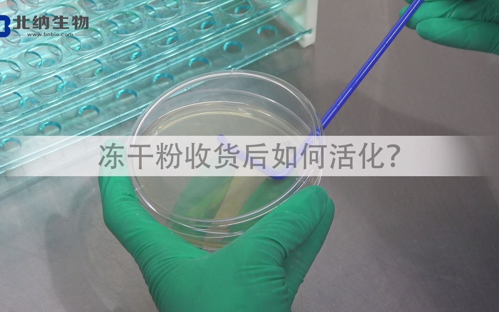 冻干粉收货后如何活化