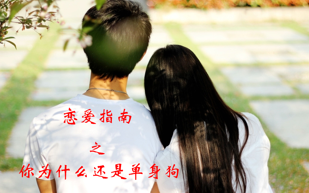 七夕节特别篇,恋爱指南之为什么你还是单身狗和你本来就是单身狗