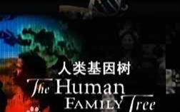 【国家地理】人类基因树【人人影视字幕】National.Geographic.The....