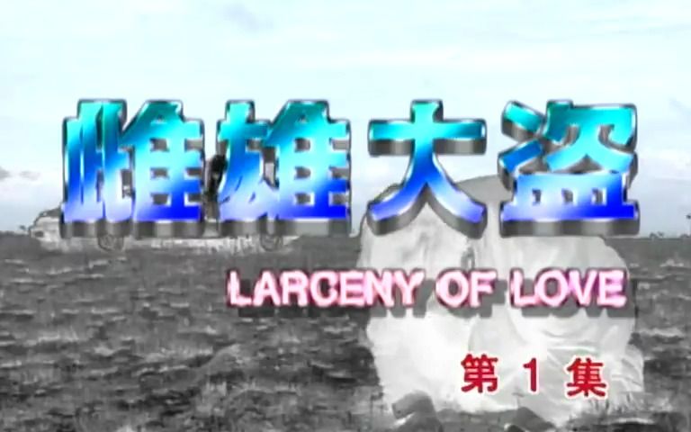 1993 雌雄大盗 新加坡电视剧 全集资源si信 #500部国语新加坡剧 沈...