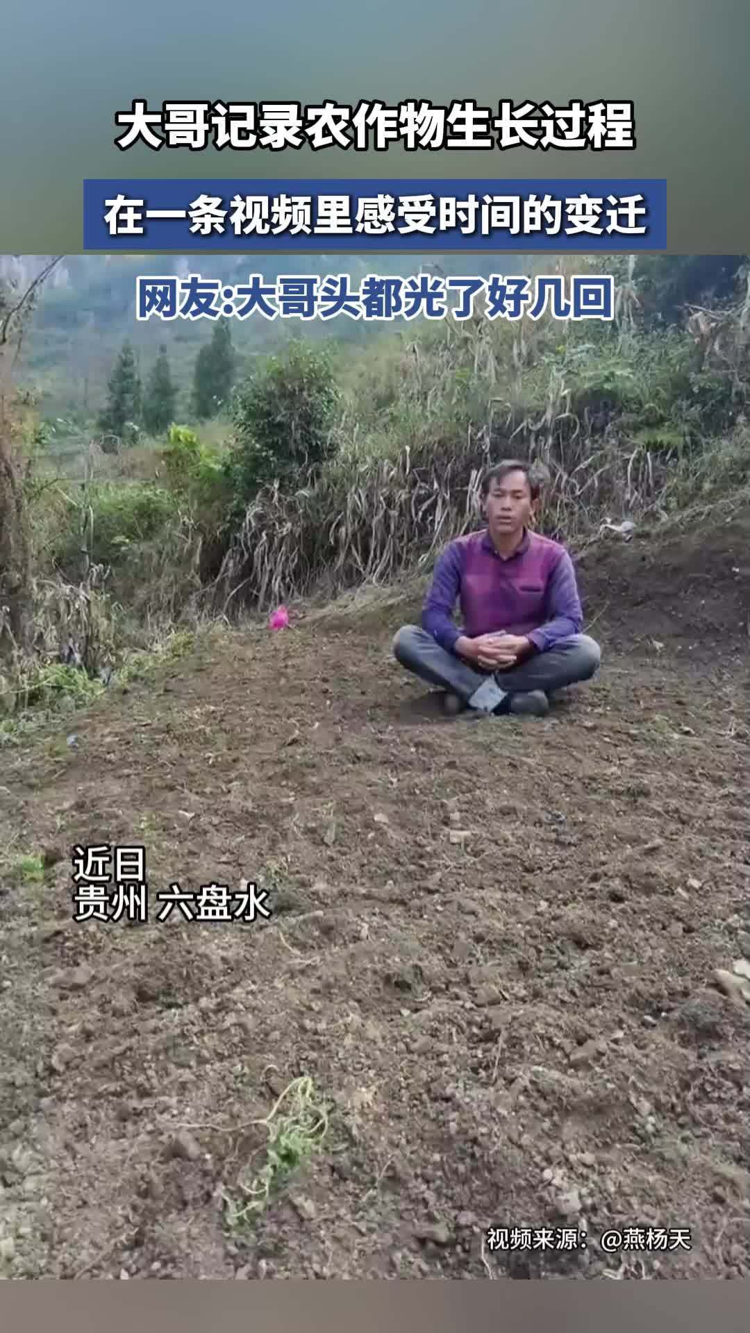 大哥用镜头记录农作物生长过程。幼苗破土而出的过程宛如魔法。