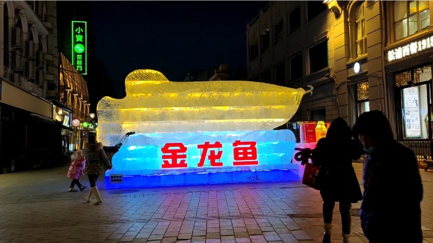 哈尔滨市中央大街步行街的夜晚,流光溢彩,宛如一座不夜城(上)
