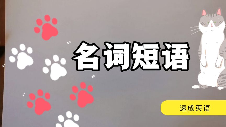 英语中名词短语,构成及活用,细致讲解